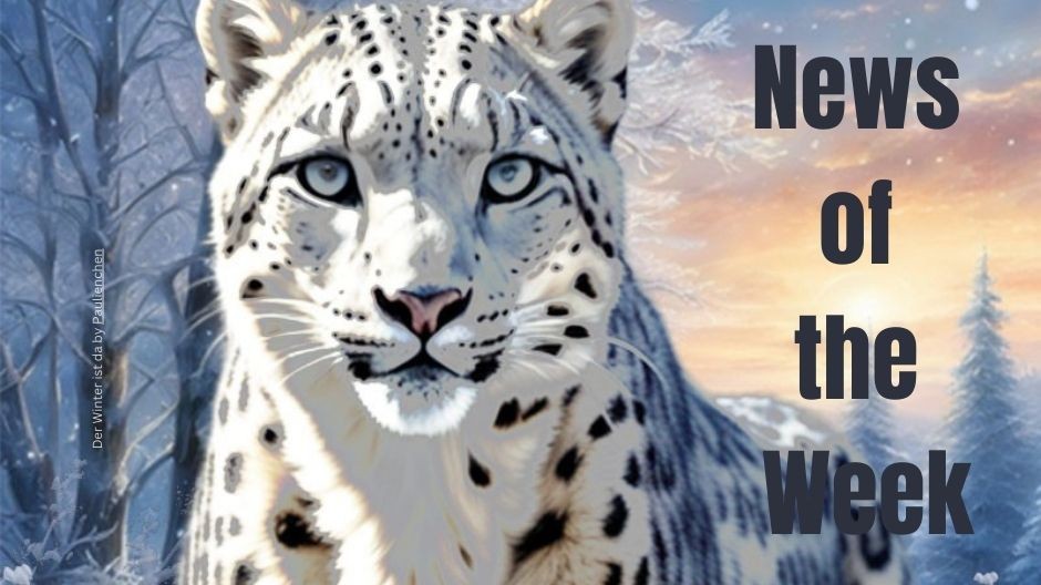 News of the Week for Dec 2-9, 2023 - Renderosity