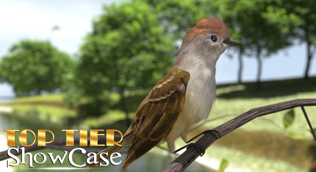 Top Tier Showcase by Ken _Gilliland - Renderosity