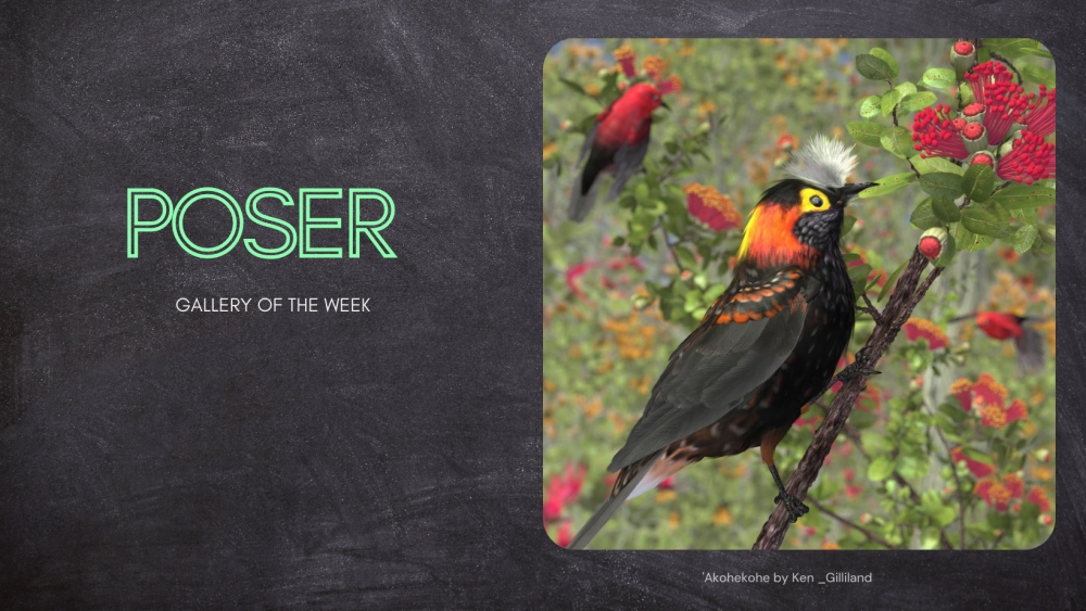 Gallery of the Week - The Poser Gallery - Renderosity