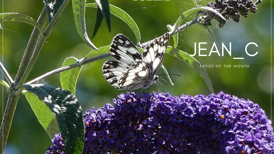 Artist of the Month for August 2021 - JEAN_C - Renderosity