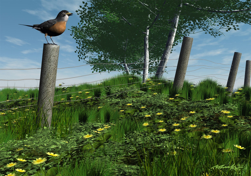 Entry #1 | Contests | Renderosity