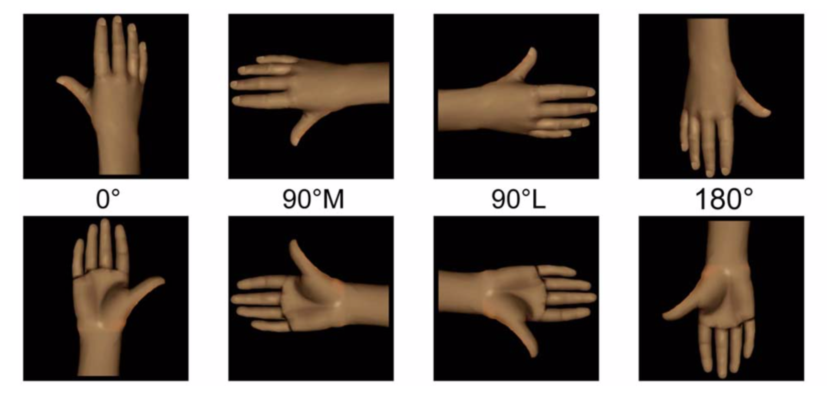 How to make hand poses in Poser 11 | Renderosity