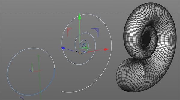 Modeling a Nautilus Shell | Renderosity