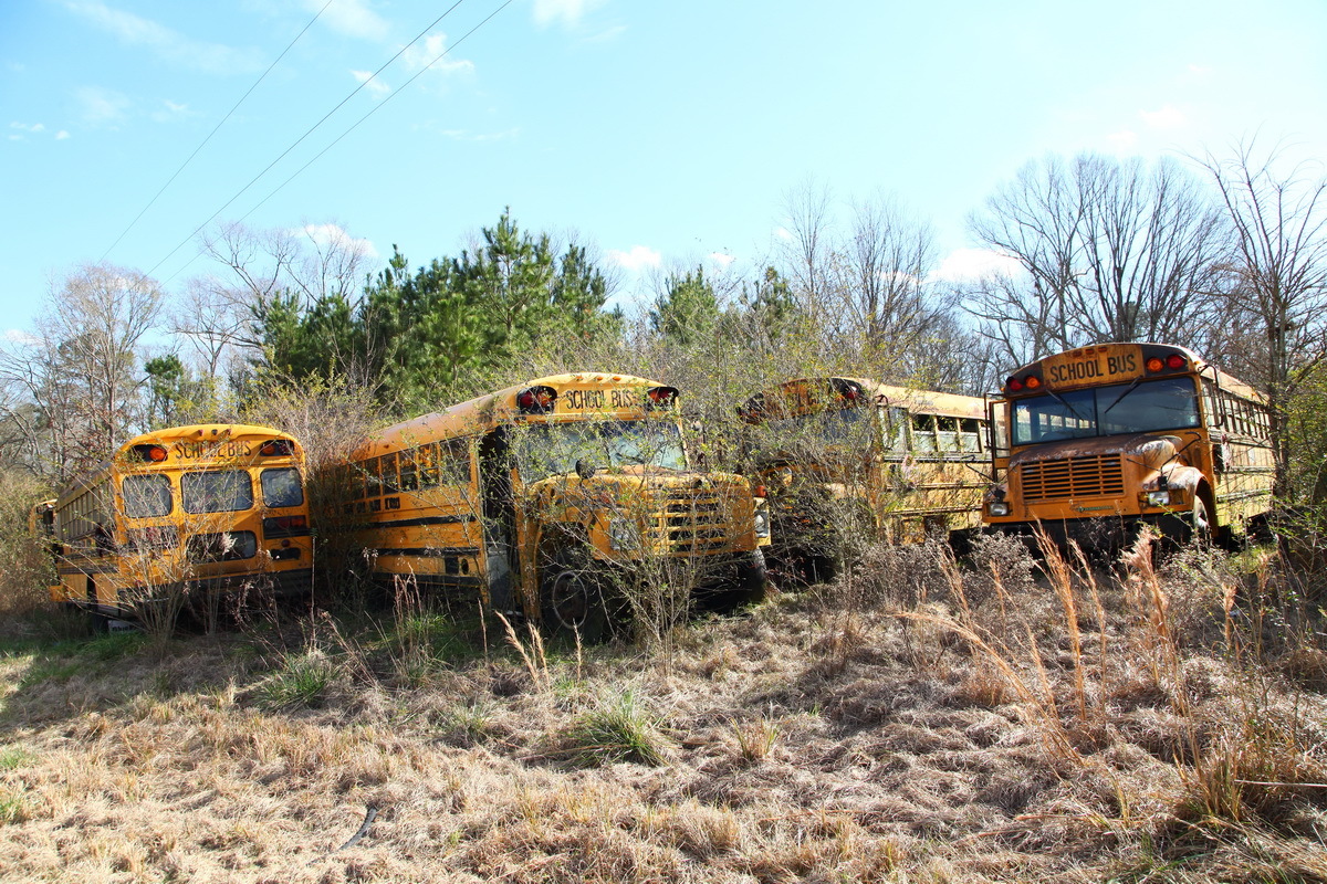 School Bus Graveyard 6410 HiRes