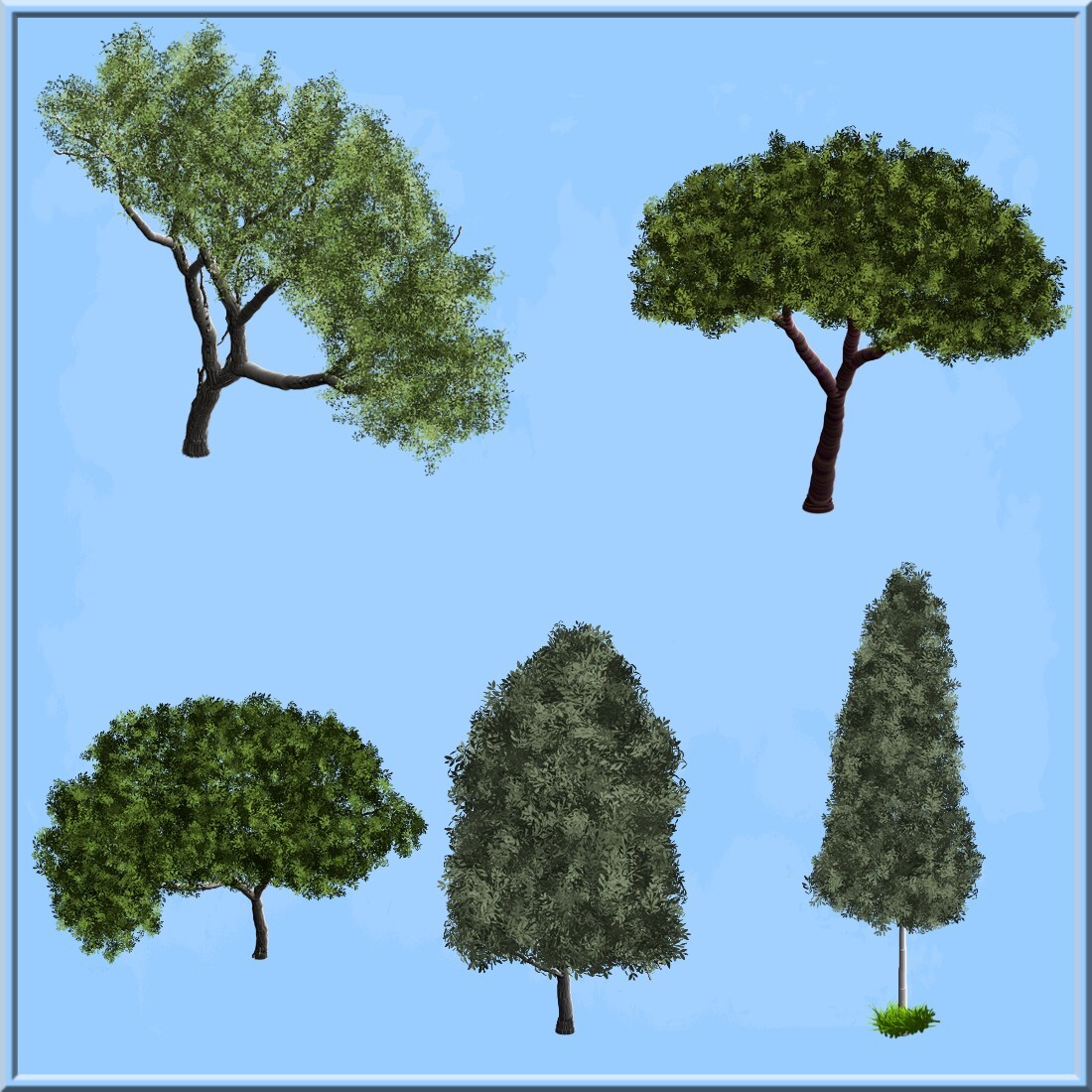 Trees png