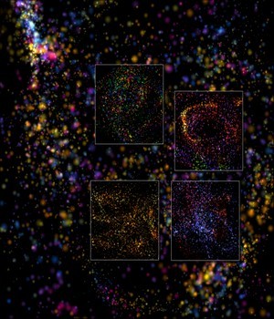 Renderosity - 3D Models | 3D Software | 3D Art