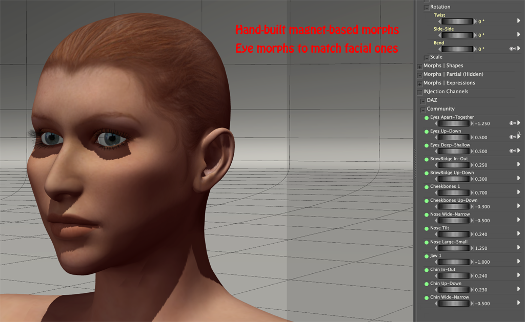 V4 Face Morphs for Poser