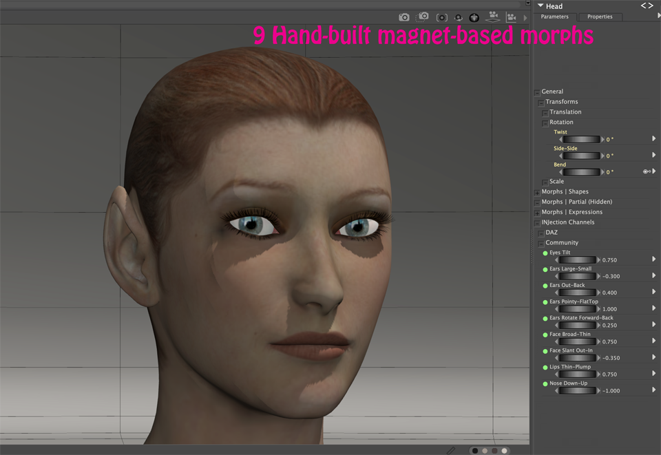 More Face Morphs for V4