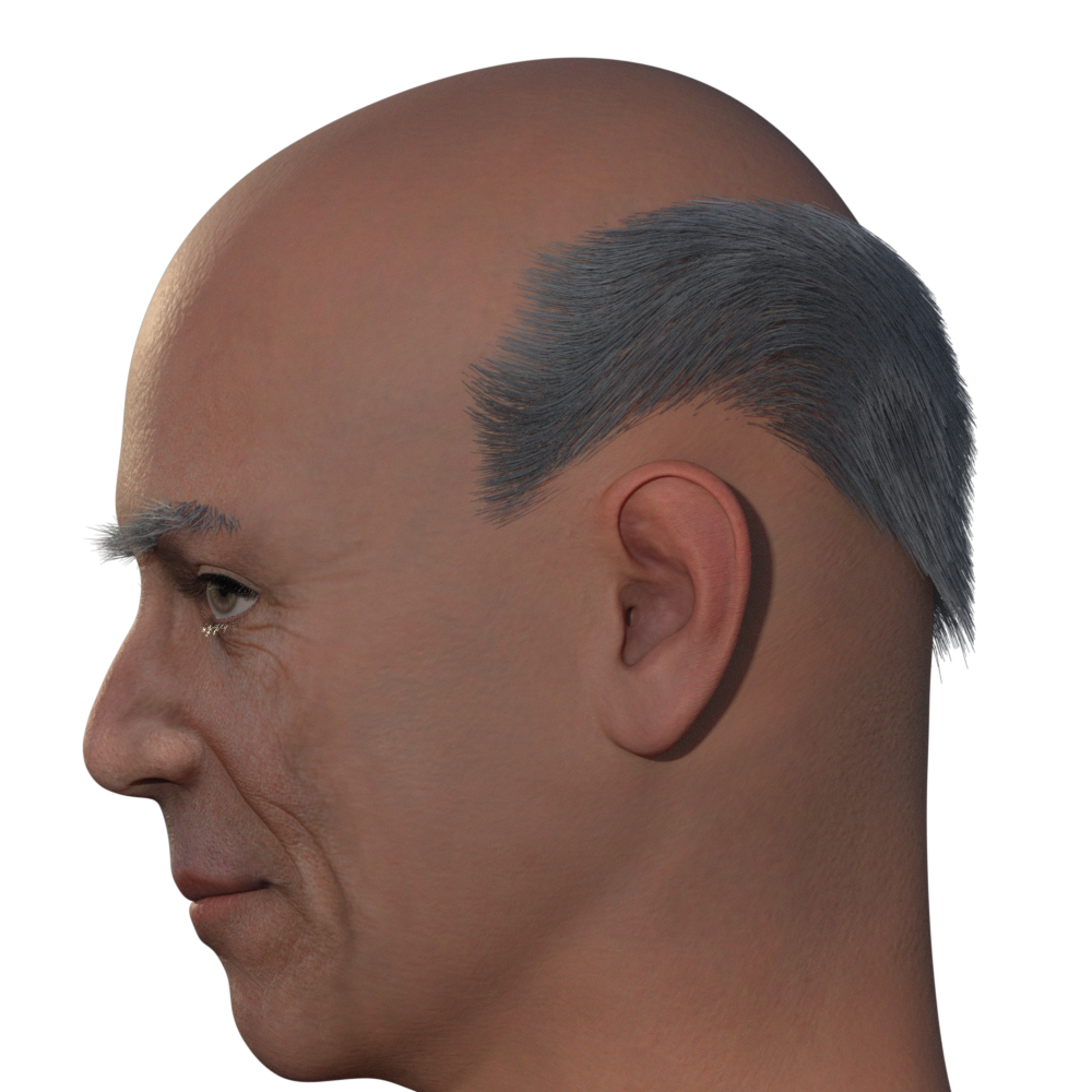 fl-Hair for Genesis 9 Male