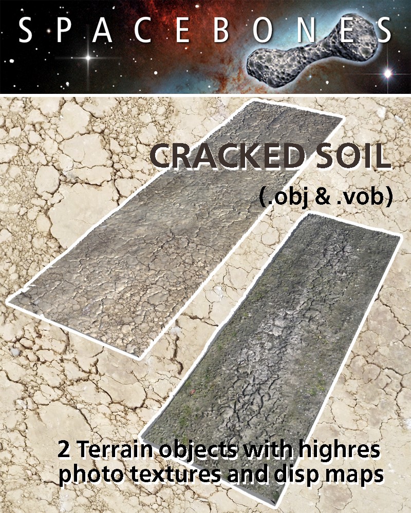 Cracked Soil