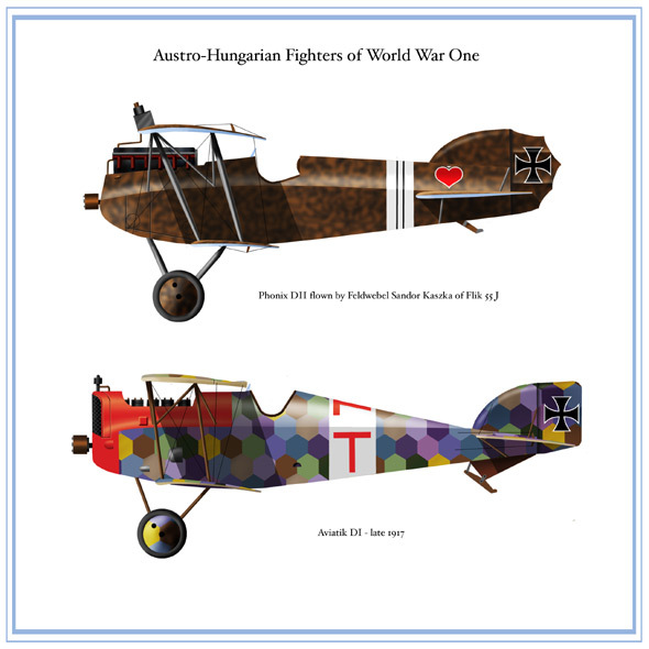 WW1 Austro-Hungarian Fighters by geoffgeoffp