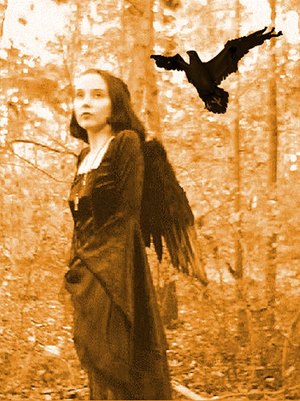 The Lady Raven by Lady Luna