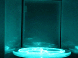 Transporter Beam Out (Animated) by potrimpo