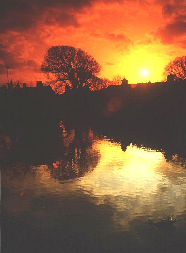The Pond at Rottingdean by mcanning