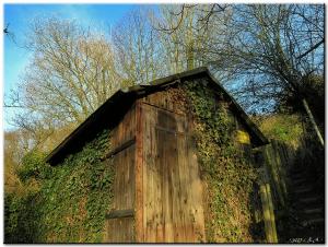 Overgrown Hut by Hendesse