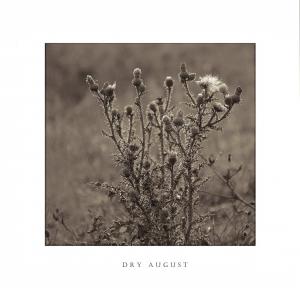 Dry August by nikolais