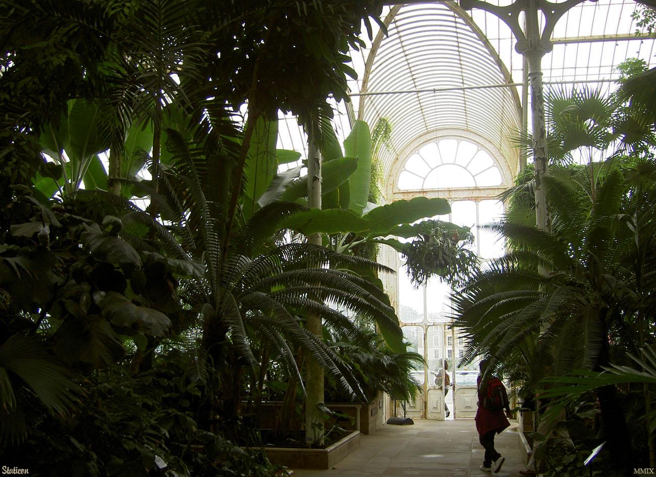 Palm House Interior by Staticon