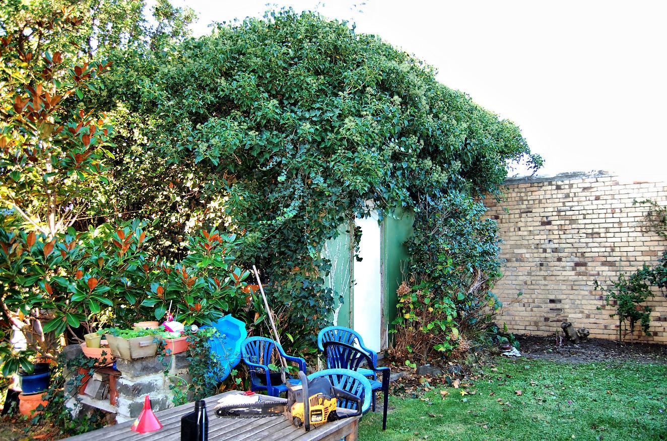 My Hidden Shed. by blinkings