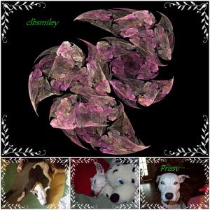 Remembering Prissy by clbsmiley