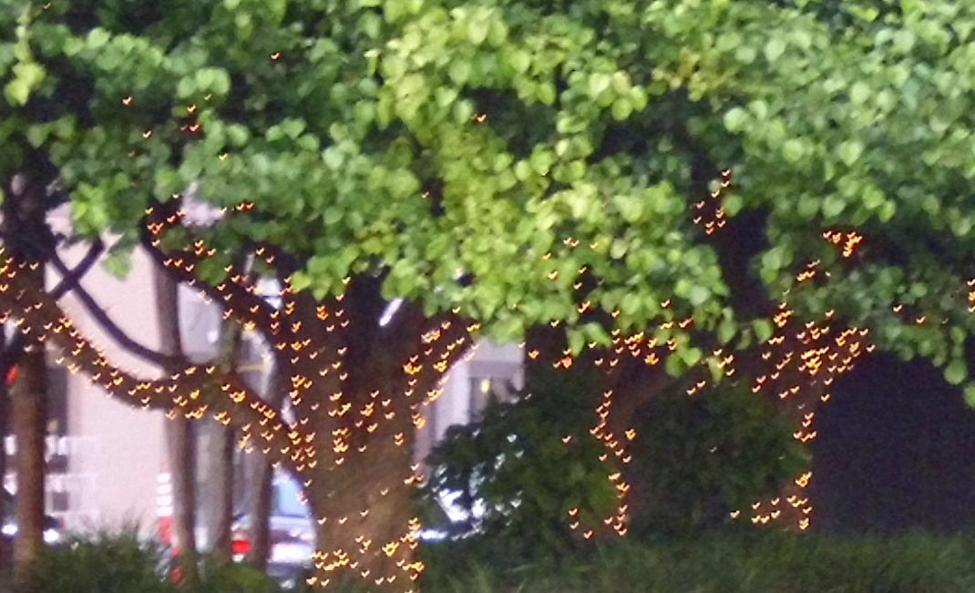 faux fireflies by davinci_tx