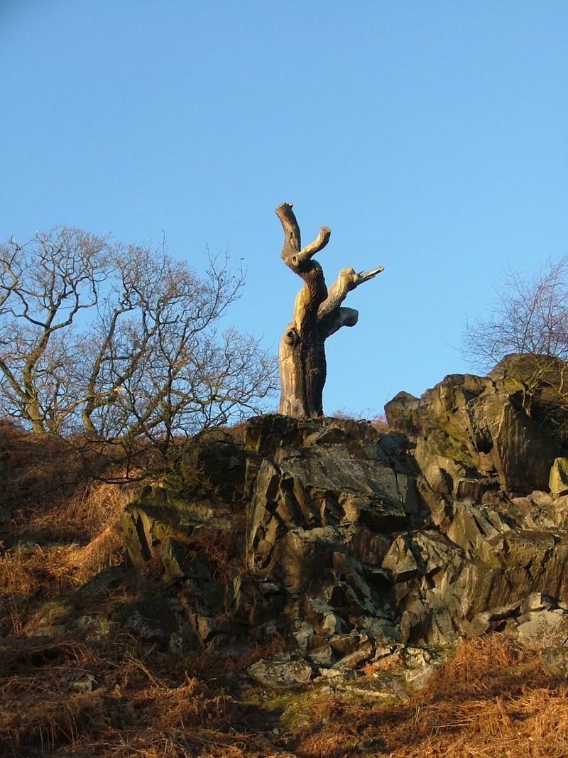 Stark Tree in a Blue Sky by Art4u