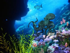 An Octopuses Garden by Pewter7