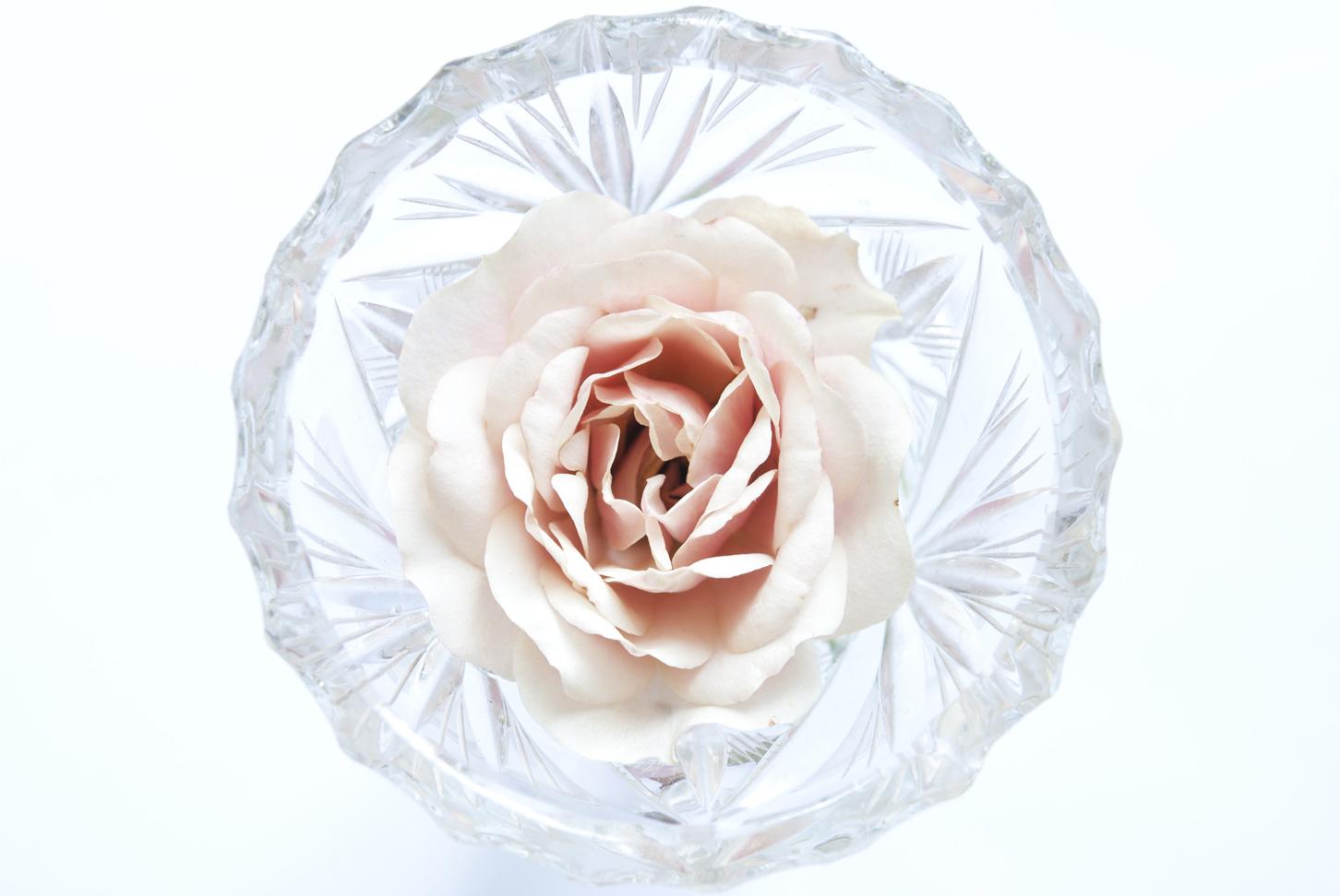 Rose coloured glass by micturn