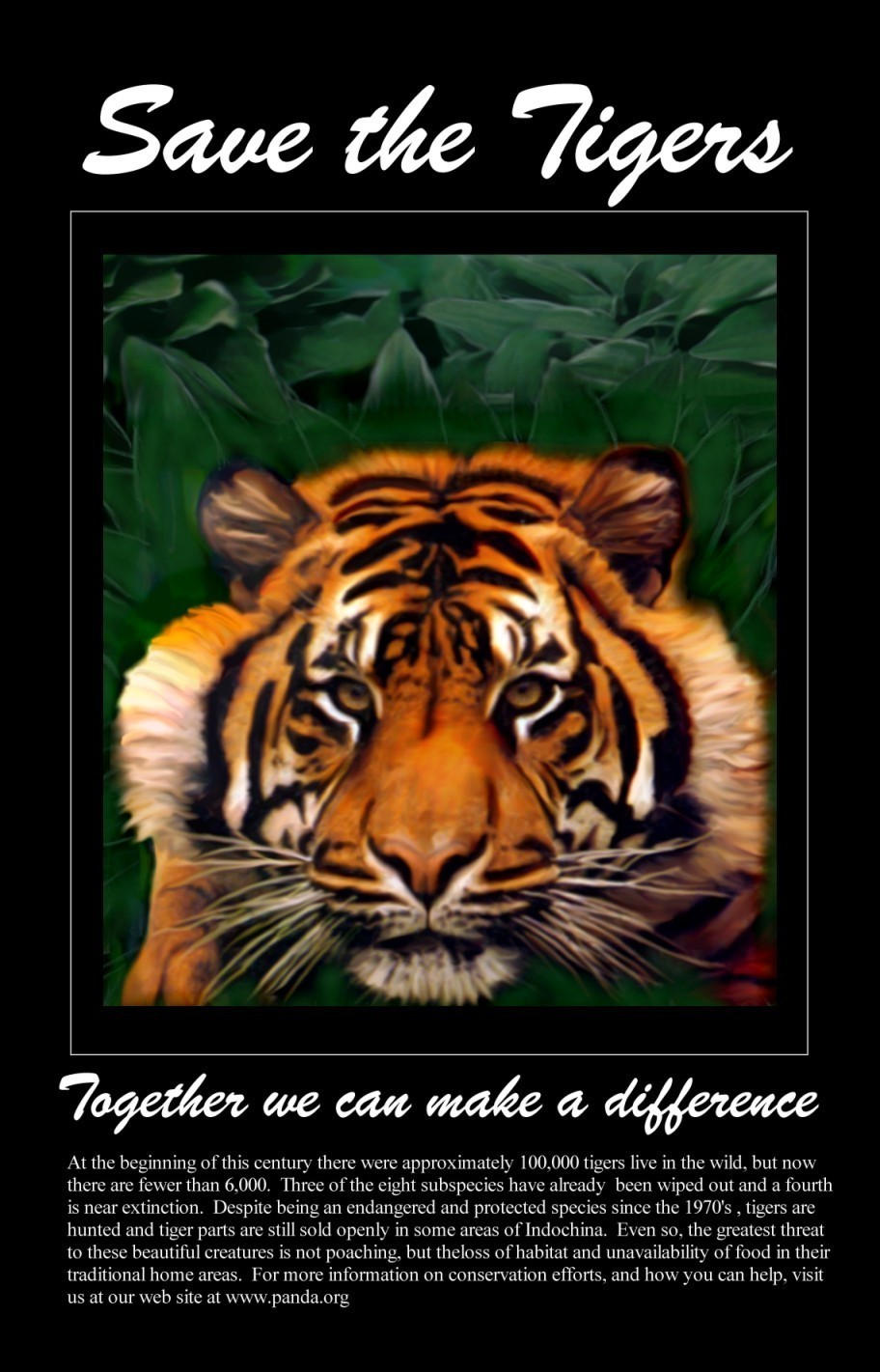 Save the tigers by nancy9138