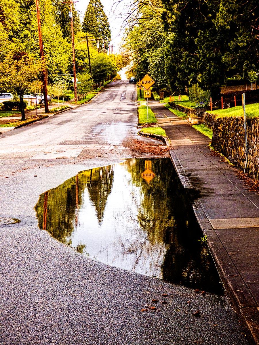 Bumps & A Puddle by photosynthesis