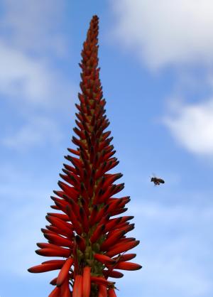 Prop blur! by blinkings