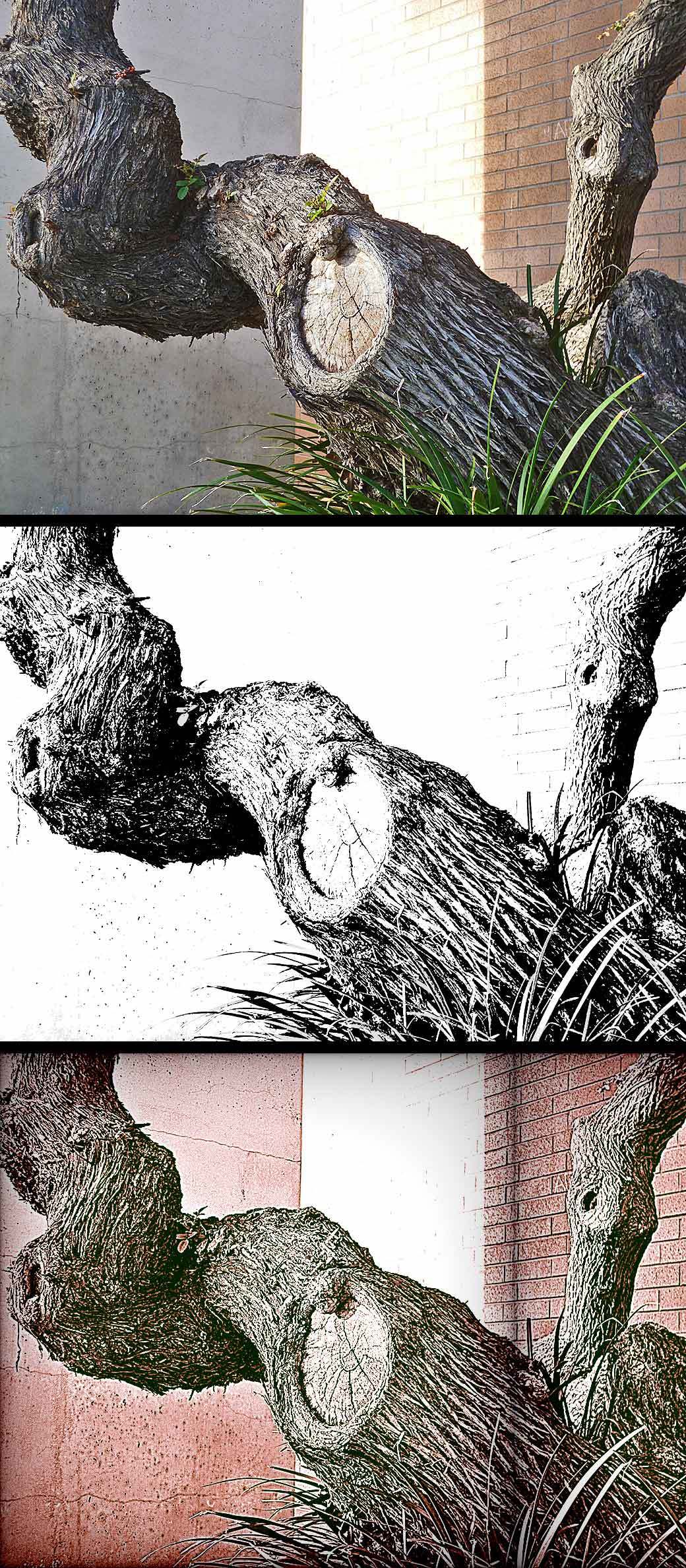 Gnarled tree limbs #1 - with variations by goodoleboy