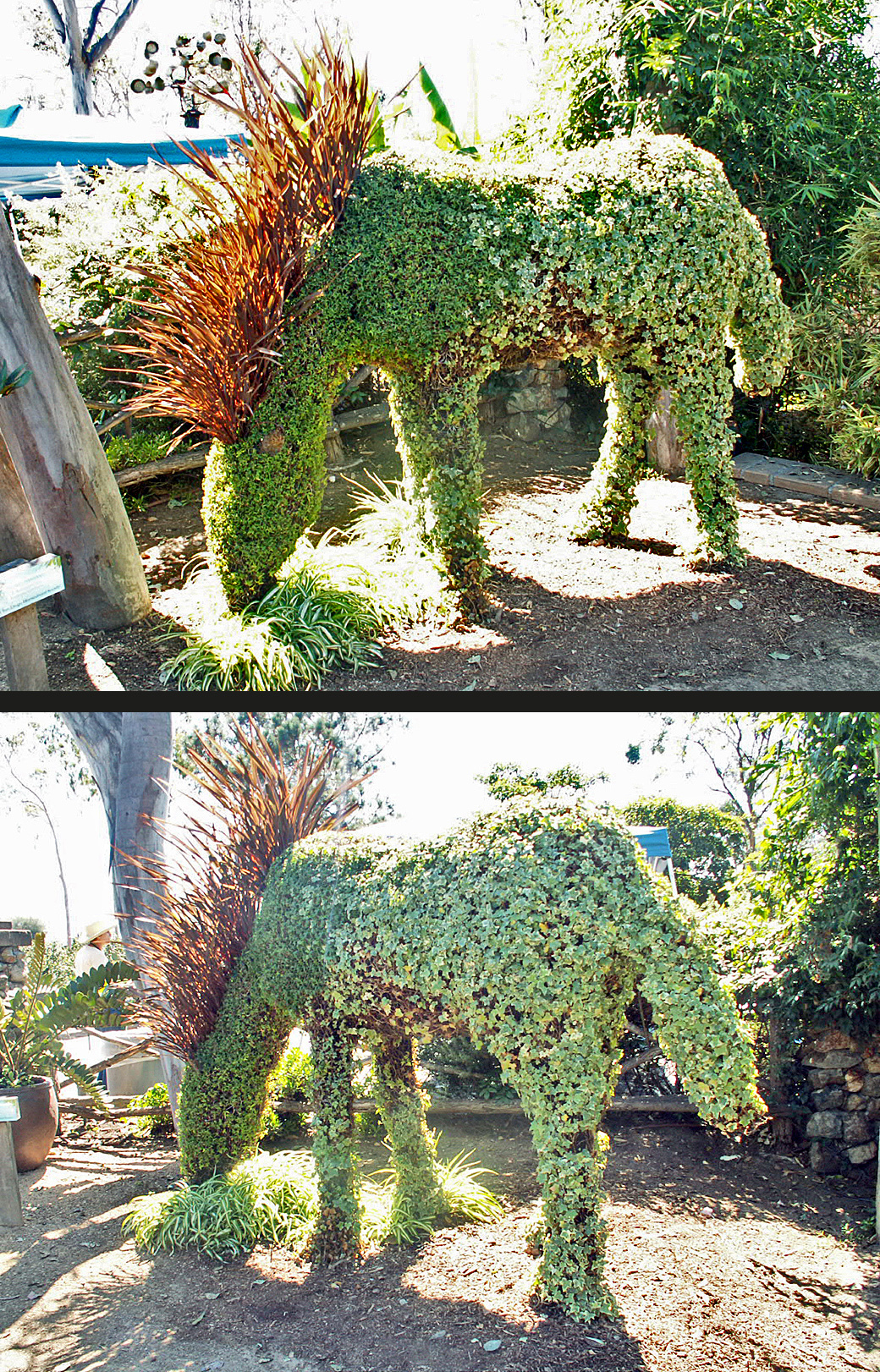 Animal topiary by goodoleboy
