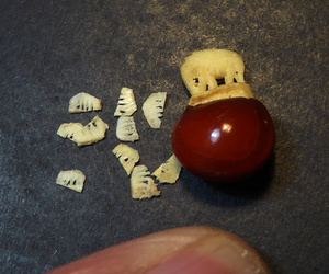 Manjadikuru by durleybeachbum