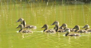 A Happy Family for Christo (kgb224) by dochtersions