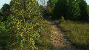 Xfrog Grey alder tree test by iborg64