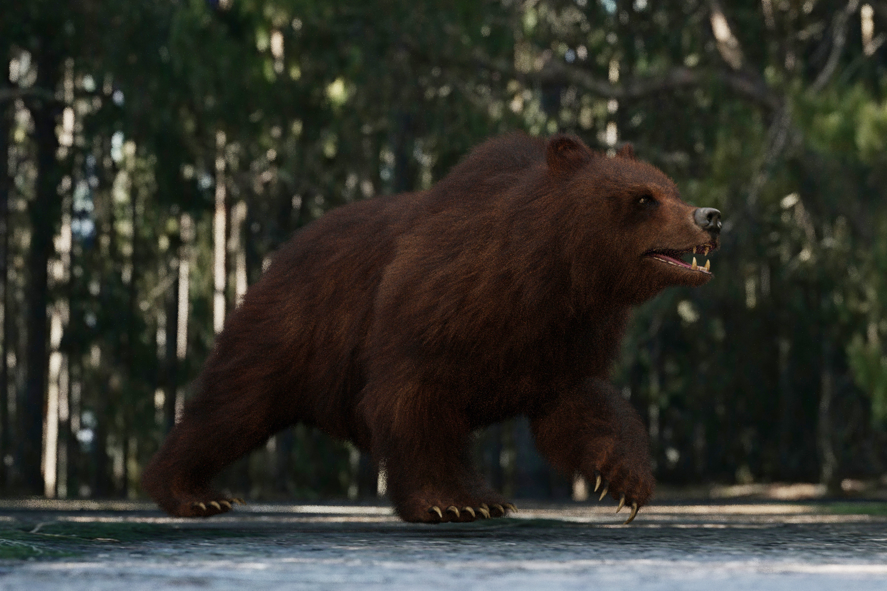 Swedish Brown bear by jerico10