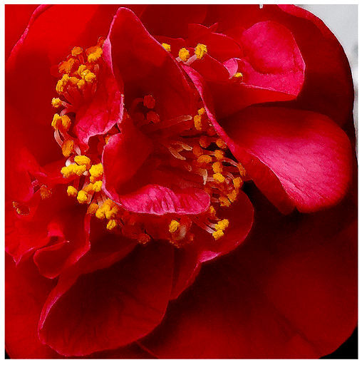 Chanel N5 by moonysun