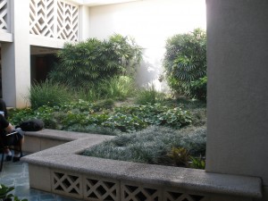 Courtyard Garden by TerraMoore