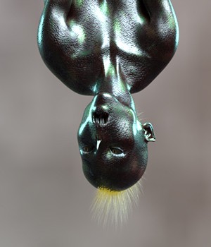 Creeping Poses by Hellfyre71