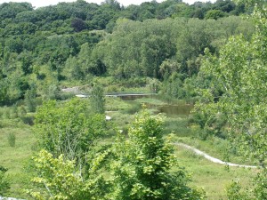 A Distant Bridge by TerraMoore