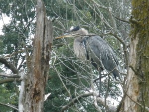 One Foot Raised by TerraMoore