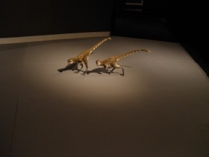 Baby T-rex Models by TerraMoore