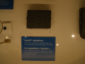 Liquid Skeleton by TerraMoore