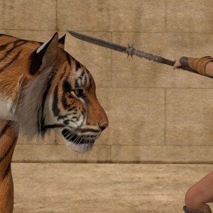 Women Gladiators by KF