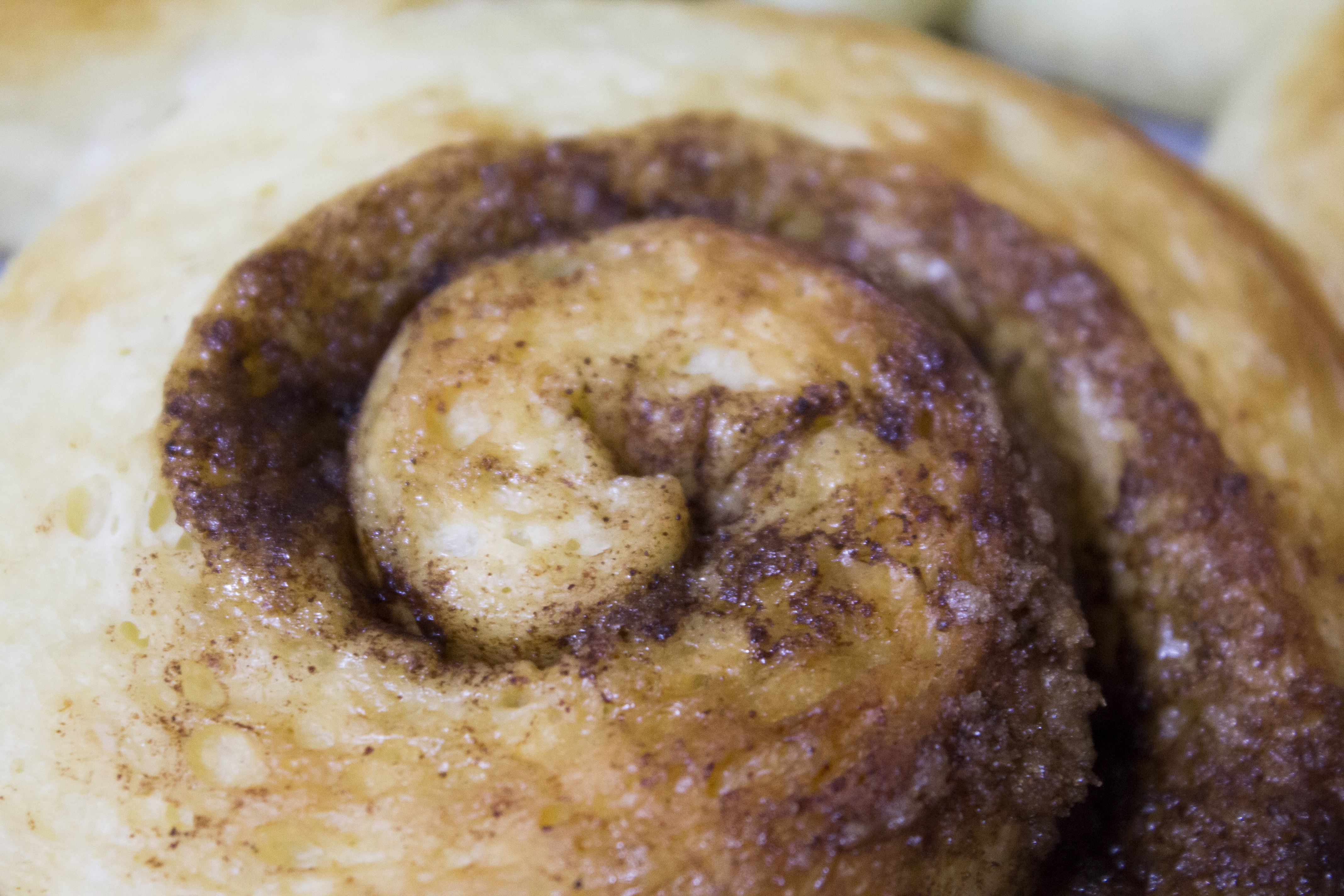 Texture of a Cinnamon Bun by APlusDesign