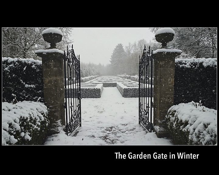 Winter Garden Gate by RandyJonesArtist