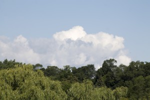 Sky and Clouds Over the Trees and Buildings Beyond by APlusDesign
