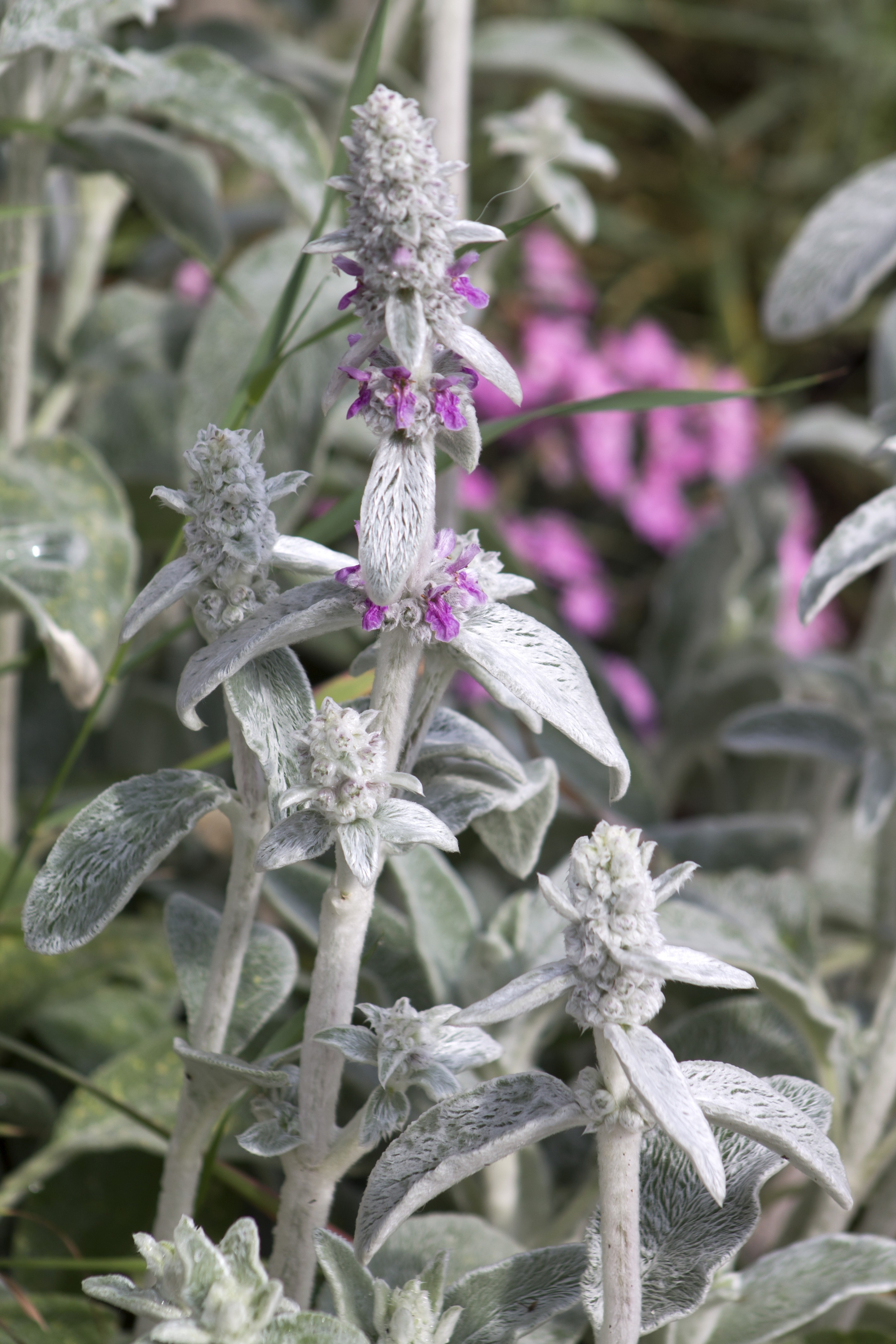 Tiny Splashes of Colour by APlusDesign