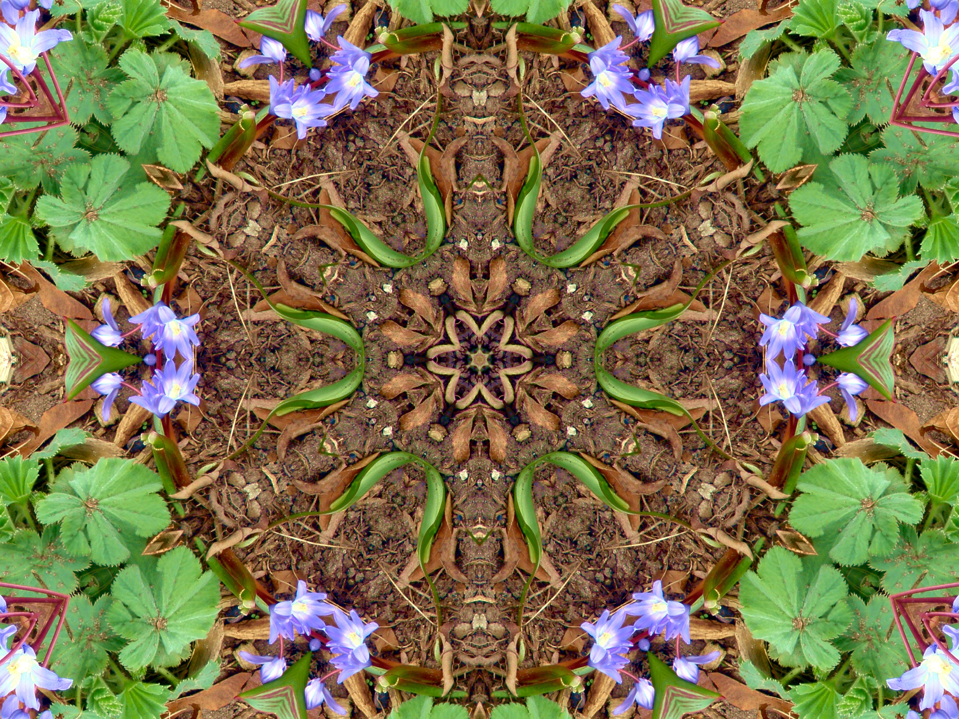 Circular Garden by TerraMoore