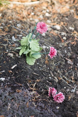 Planted Plastic Flowers by APlusDesign